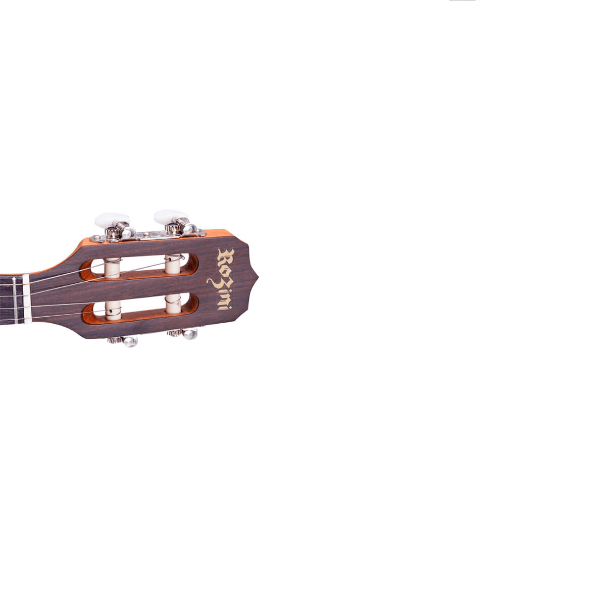 Banjo Studio Elétrico RJ-10 EL.N.LP - Rozini | Banjos | Ninja Som Grupo ...